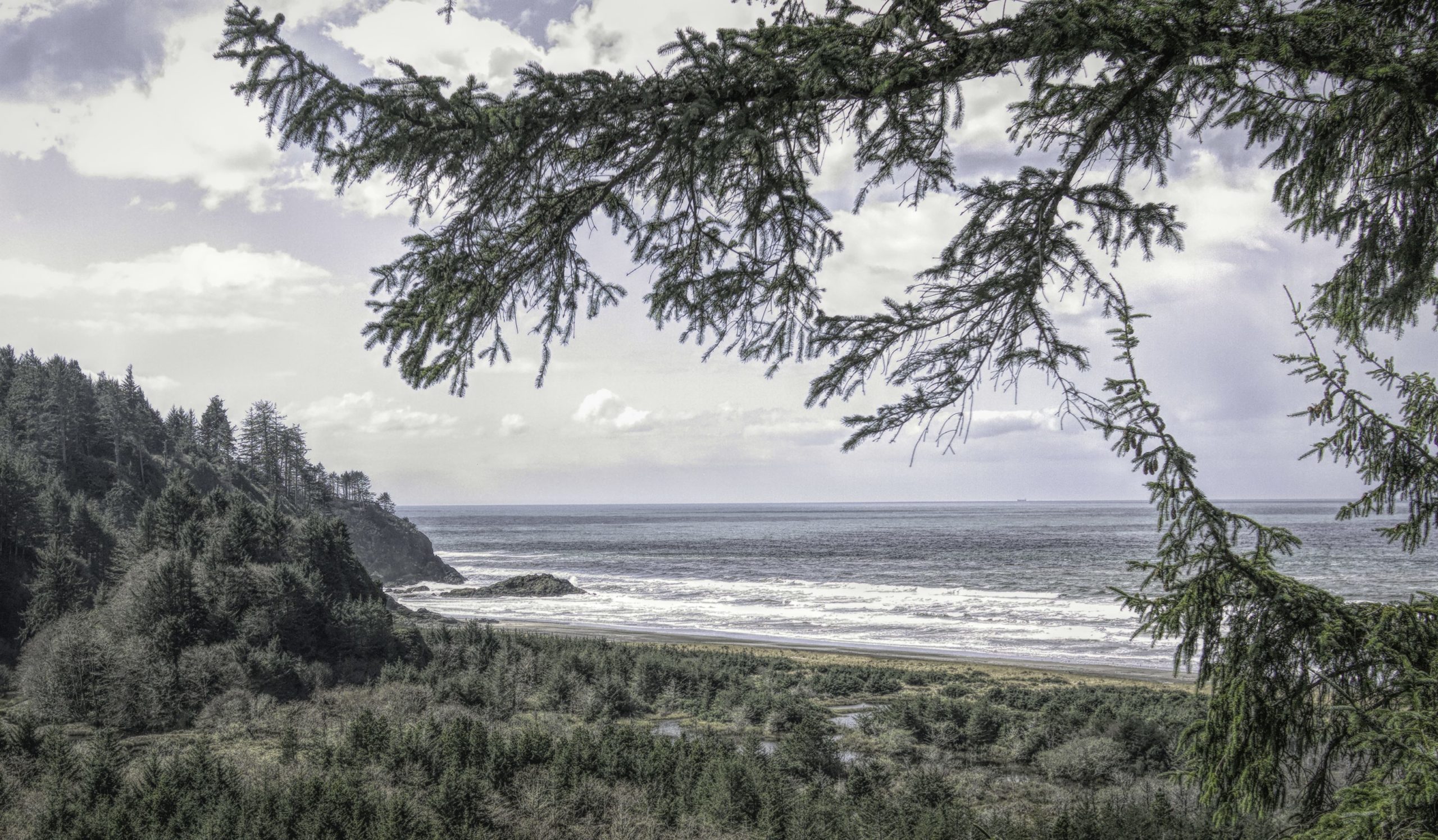 Discovering Washington: Long Beach : Battered Suitcase